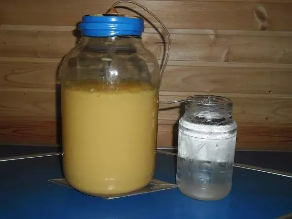 সাদাসিধা ওয়াইন fermentation