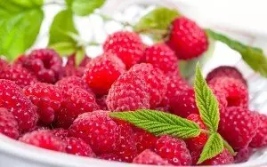 Wéi preparéiert Dir gefruer Beriichter Séissegkeeten: Crannberry Rezepter, Currant, Kiischteblummen (mat Video) 73_11