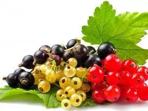 Kif tipprepara ħelu berries iffriżat: riċetti tal-cranberry, passolina, ċirasa (bil-video) 73_12