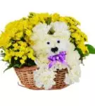 Սպիտակ շուն ծաղիկներ `դեղին ծաղիկներով զամբյուղով