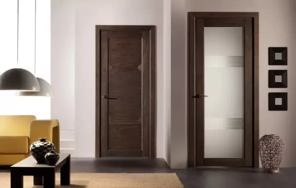 Dark doors in the style of modern modern