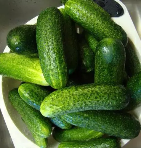 Alles oer komkommers Claudia F1 - Beskriuwing fan fariëteiten, lâning, soarch en oare nuânsen + foto