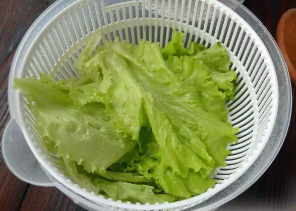 Salad daun dina colander plastik