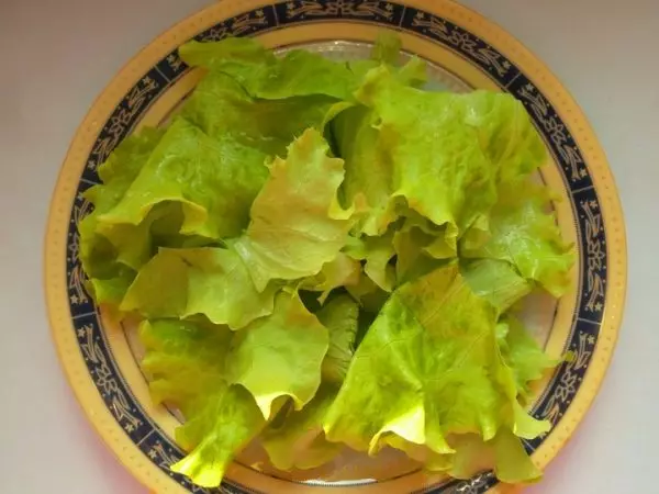 Potongan daun salad dina piring