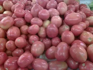 Wéi een op Tomaten korrekt an engem Zreehouse an Outdoor Buedem ze packen (Video, Foto, Schema), wéi eng variéiert net 79_13