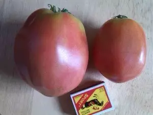 Wéi een op Tomaten korrekt an engem Zreehouse an Outdoor Buedem ze packen (Video, Foto, Schema), wéi eng variéiert net 79_7