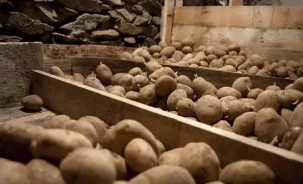 Conservazione di patate