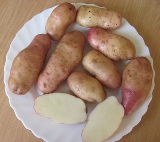 Tubri di patate