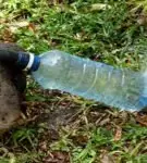 Kapanje zalijevanje plastičnim bocama