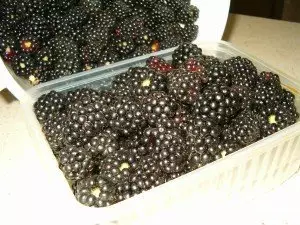 Pleie og dyrking av BlackBerry i landet: Fra frø, fra koteletter, videoer og bilder 83_8