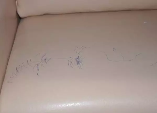 Doodle nangani ing sofa putih