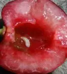 Cherry Mugin lictery