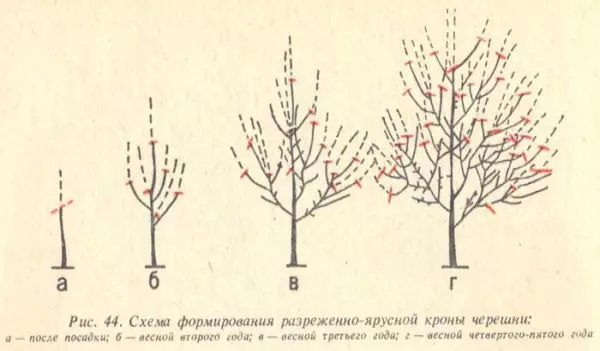 Cherry trim diagram