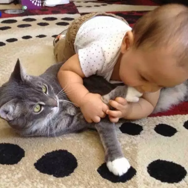 Baby playing with a cat