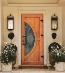 Entrance door with glass