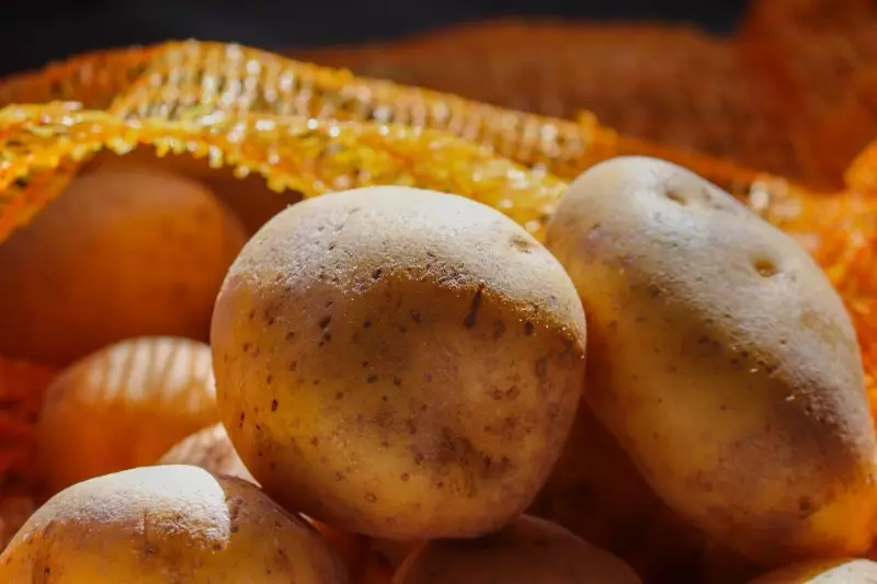 Por que batatas antes da necessidade quente de arranhar para um garfo