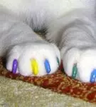 Multicolored claws.