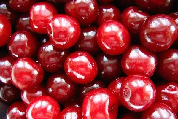 Berry սորտեր Խարիտոնովսկայա