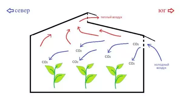 আপনার নিজের হাত দিয়ে Mitlider দ্বারা একটি গ্রিনহাউস তৈরি করতে কিভাবে: গণনা এবং অঙ্কন, ফটো এবং ভিডিও সঙ্গে ধাপে ধাপে নির্দেশাবলী