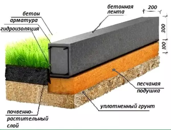 I-RBBon Foundation