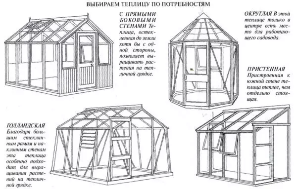 Shape Greenhouse