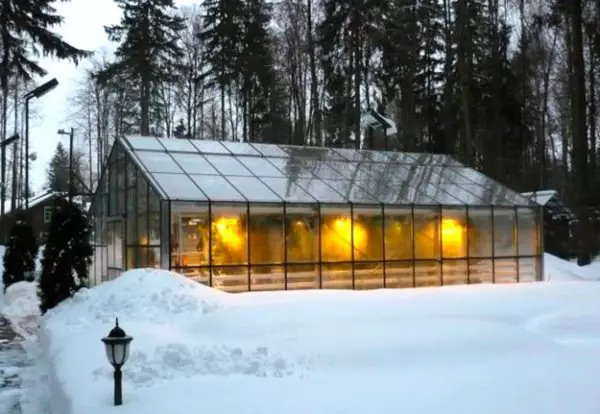 Vinter Greenhouse.