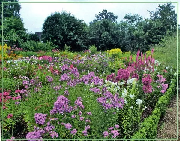 Mixborror im Landschaftsstil