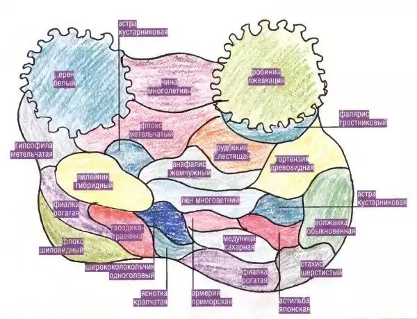 Схема размяшчэння раслін у міксбодзеры