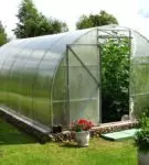 Greenhouse with hemispberry roof