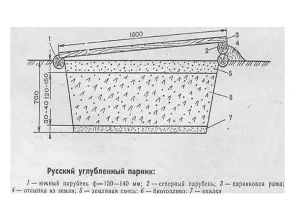 Nuodugniai šiltnamyje