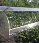 Ground greenhouse