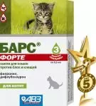 Barên baranê ji bo kittens vedike