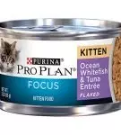 Alimentos enlatados para Kittens Proplan