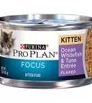 Xwarina konservanê ji bo Kittens Proplan