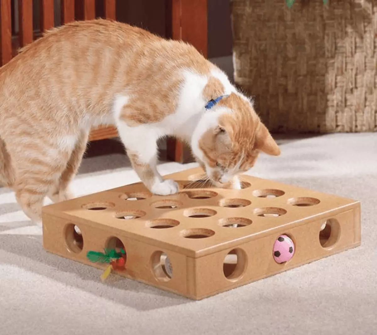 Toy interactivo para gatito
